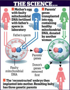 Dr. Peter Ahlering Discusses 3-Parent IVF On KMOX 1120 AM | MCRM ...