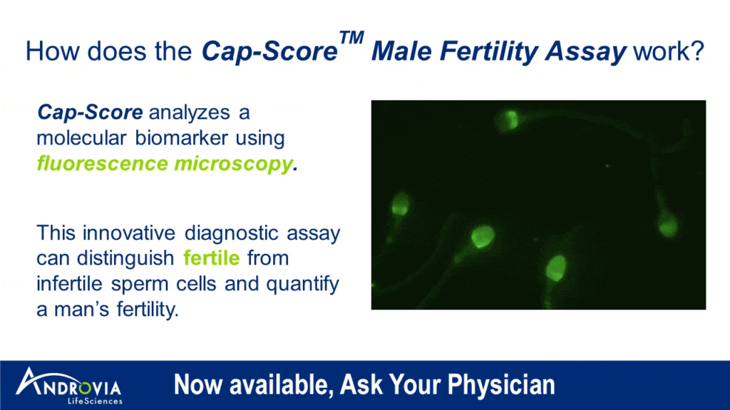 Cap-Score | Assessing Male Fertility Potential | MCRM Fertility